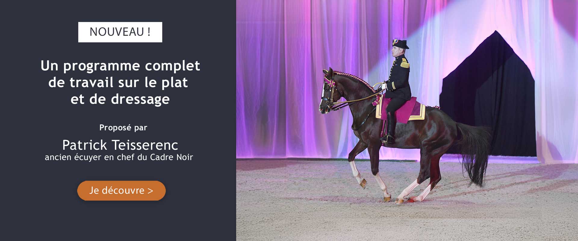 Accueil | Horse Academy