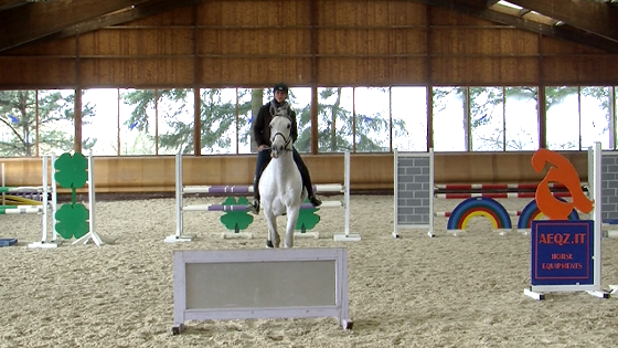 Améliorer la rectitude du cheval et du cavalier à l'obstacle | Horse ...