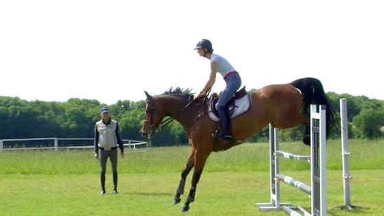 Améliorer la position du cavalier à l'obstacle | Horse Academy