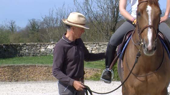 Position du cavalier et amélioration du fonctionnement chez le cheval ...