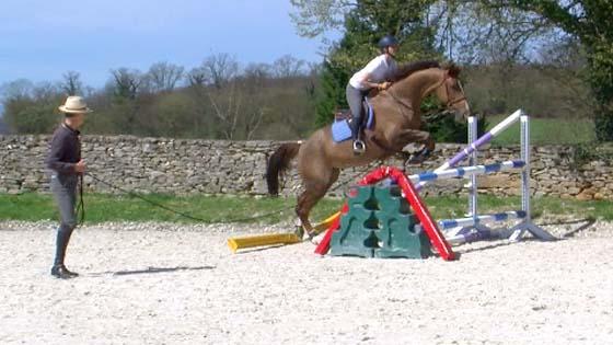 Position du cavalier et amélioration du fonctionnement chez le cheval ...