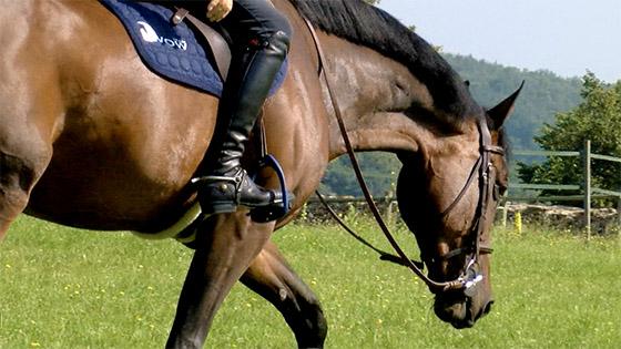 Position des pieds du cavalier et harmonie avec le cheval | Horse Academy