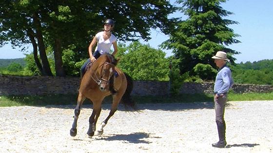 Travail sur l’incurvation et la coordination des aides | Horse Academy