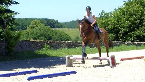 Travail sur la rectitude du cavalier et du cheval - Exercice phase 2 ...