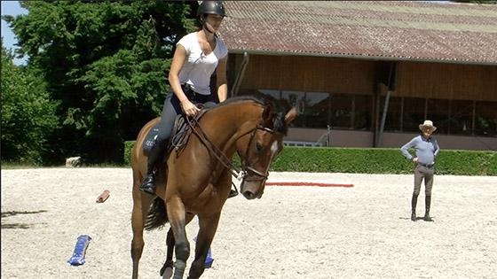 Travail sur la rectitude du cavalier et du cheval - Exercice phase 2 ...