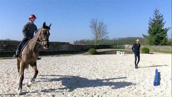 La main appartient à la bouche du cheval | Horse Academy