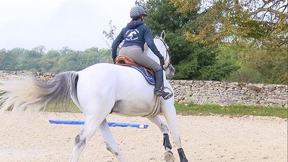 Le liant : la clé de la performance équestre et de la Compréhension ...