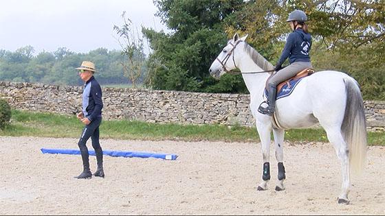 Le liant : la clé de la performance équestre et de la Compréhension ...